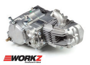 Daytona FDX 190 4v engine - Workz Industries Pit Bikes