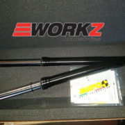 Engi Forks - Workz Industries Pit Bikes